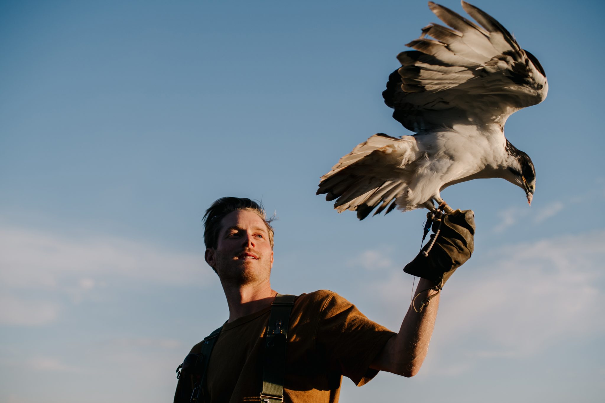 Adam Baz: The Urban Falconer | amadeus
