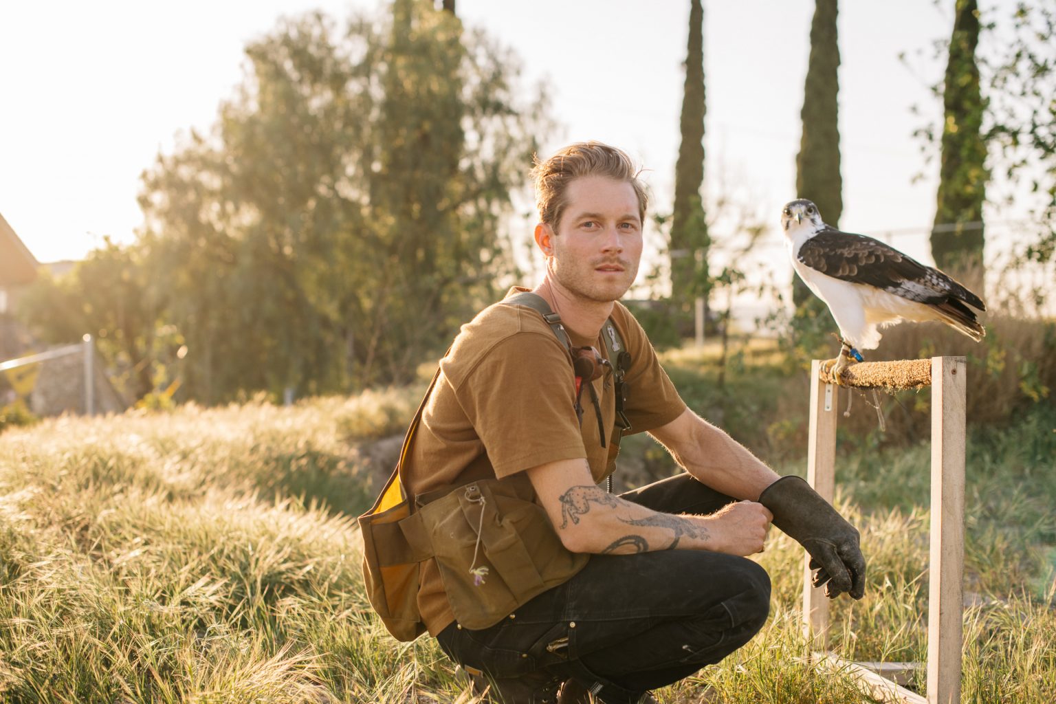 Adam Baz: The Urban Falconer | amadeus